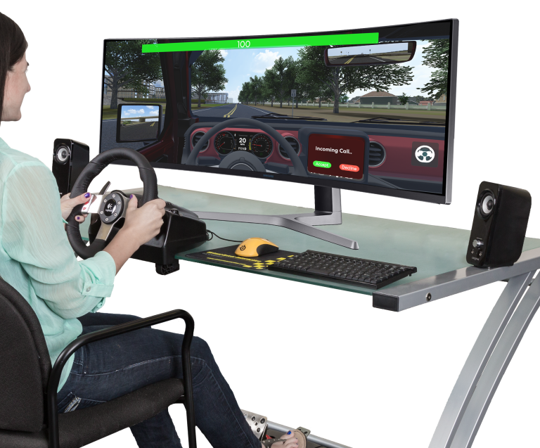 Virtual Driving Essentials - Virtual Driver Interactive - Driver ...