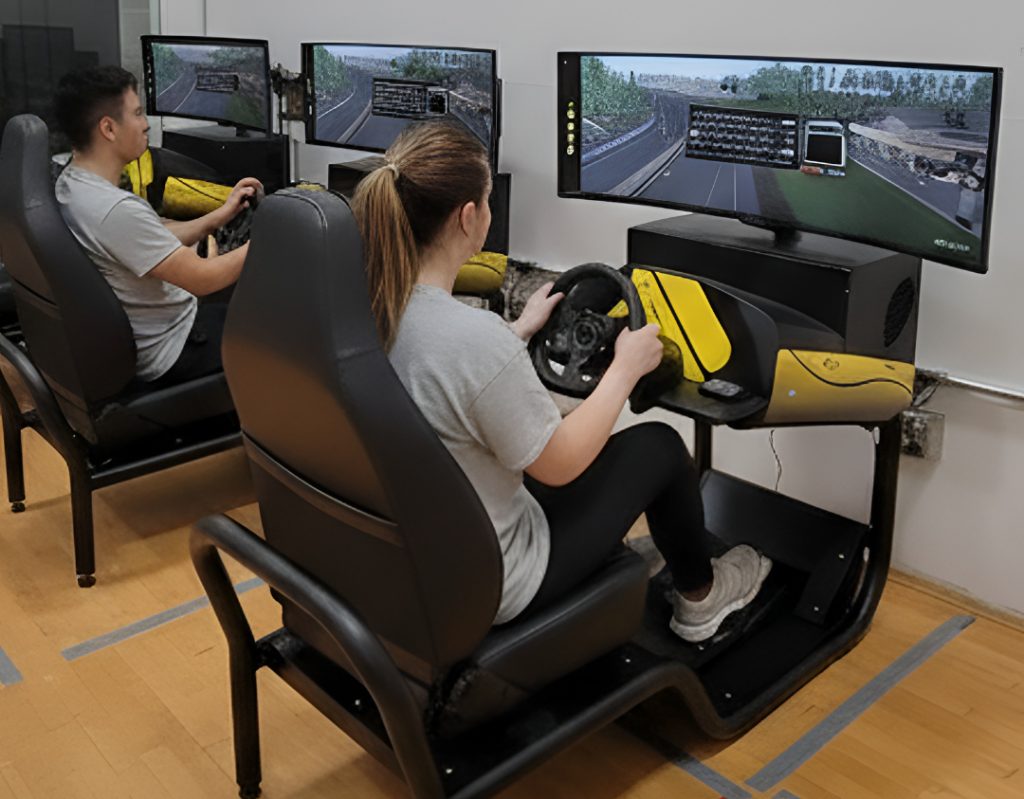 Virtual Driving Essentials - Virtual Driver Interactive - Driver ...